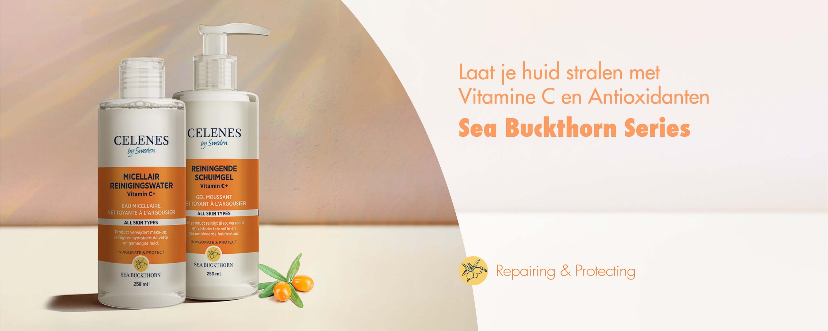 CELENES NEDERLAND – Celenes NL